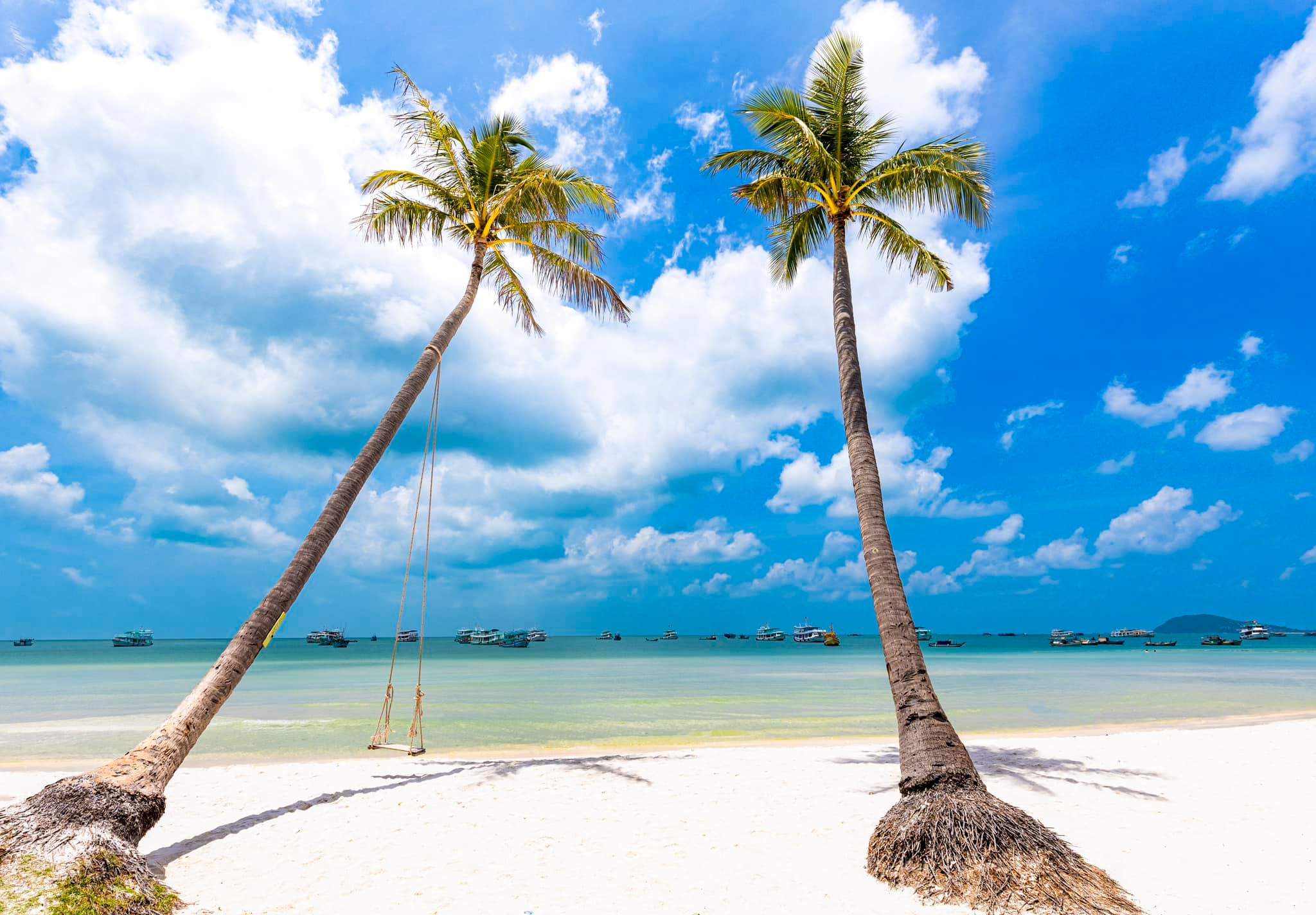 Que faire sur l'ile de Con Dao ? Guide tout complet sur Con Dao ...