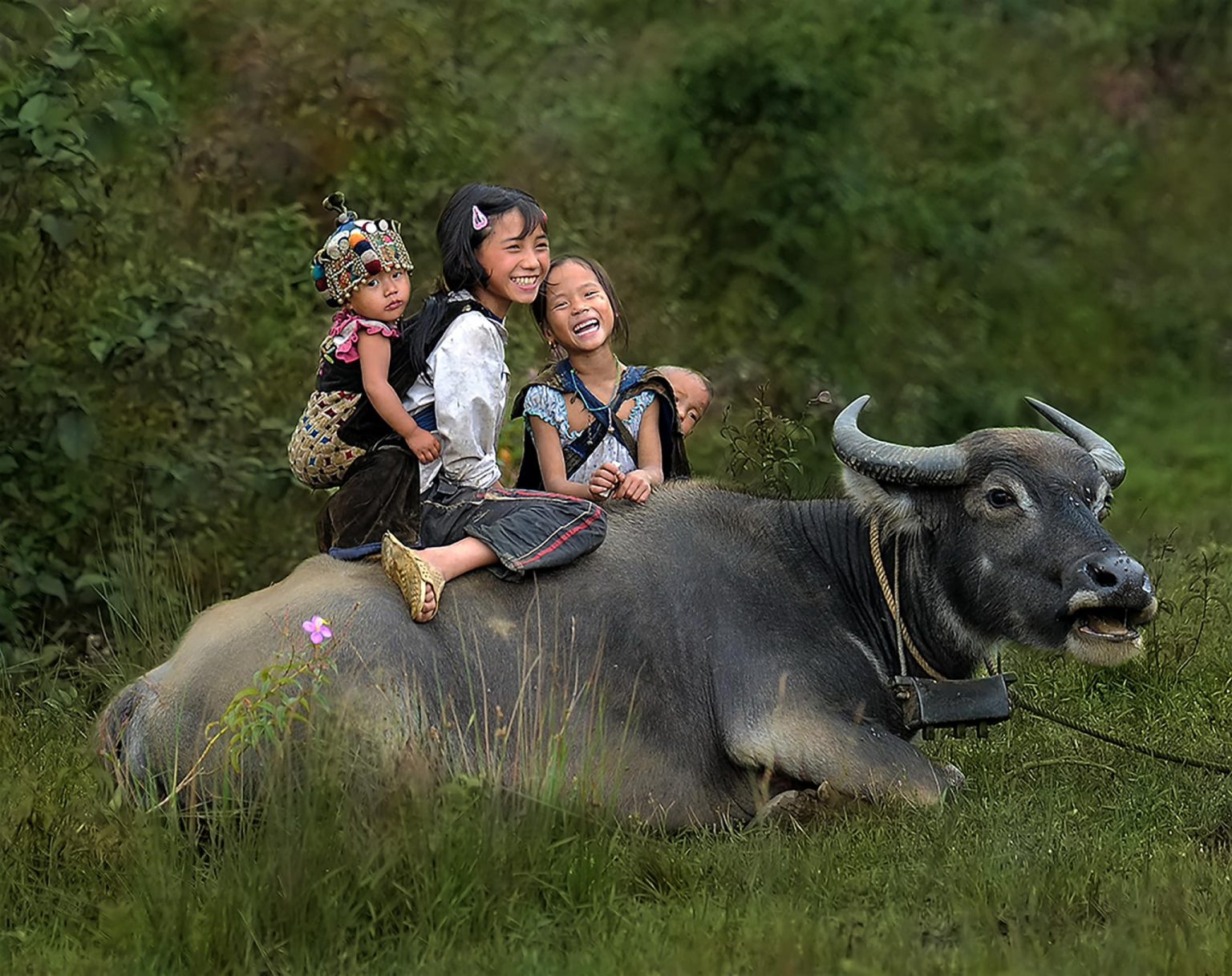Voyage Vietnam au printemps : guide complet