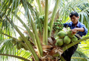 Que faire dans le Delta du Mékong ? Guide Complet